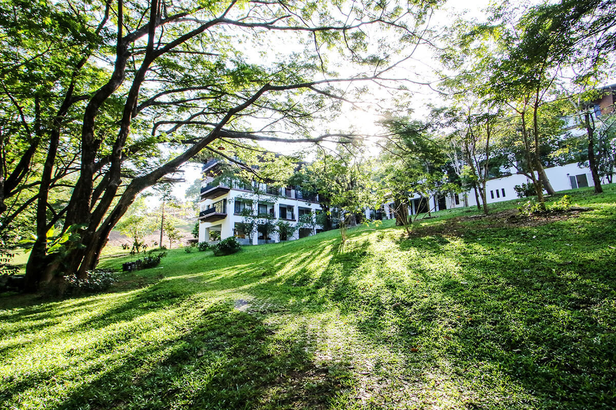 Retreat - Peace Please